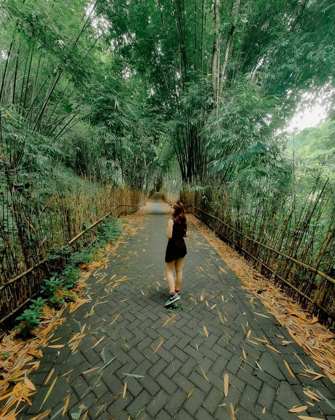 Hutan Bambu Andeman, Tawarkan Suasana Sejuk di Tengah Hutan Bambu yang Asri